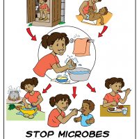Disease Outbreak Control Division | Shigellosis