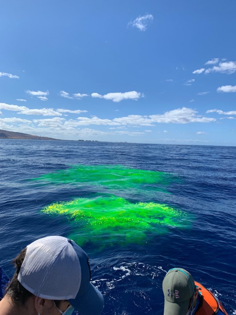 HAZARD EVALUATION & EMERGENCY RESPONSE (HEER) OFFICEOil spill ...